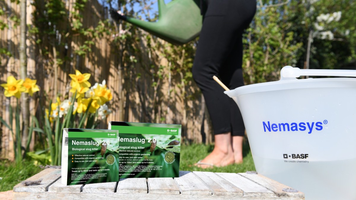 Nemaslug 2.0 Biological Slug Killer - Agricultural Solutions