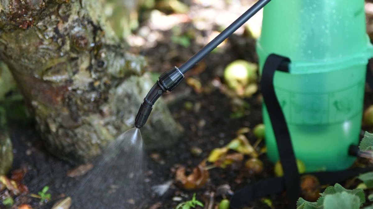 Nemasys Vine Weevil Killer - Agricultural Solutions